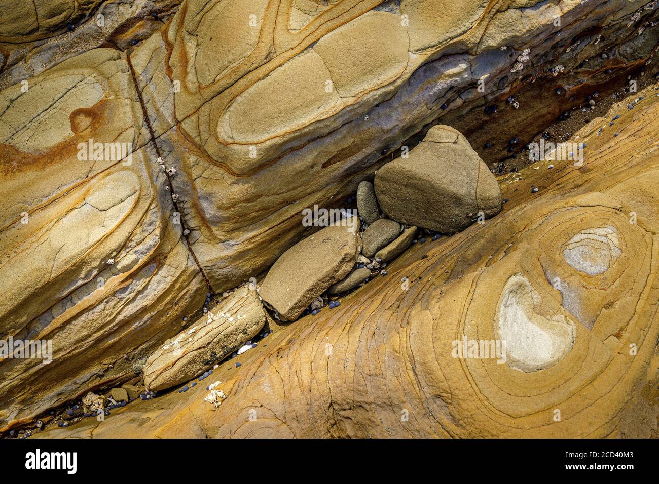 Close-up details of geological mud rock formations on Buckleton Beach ...