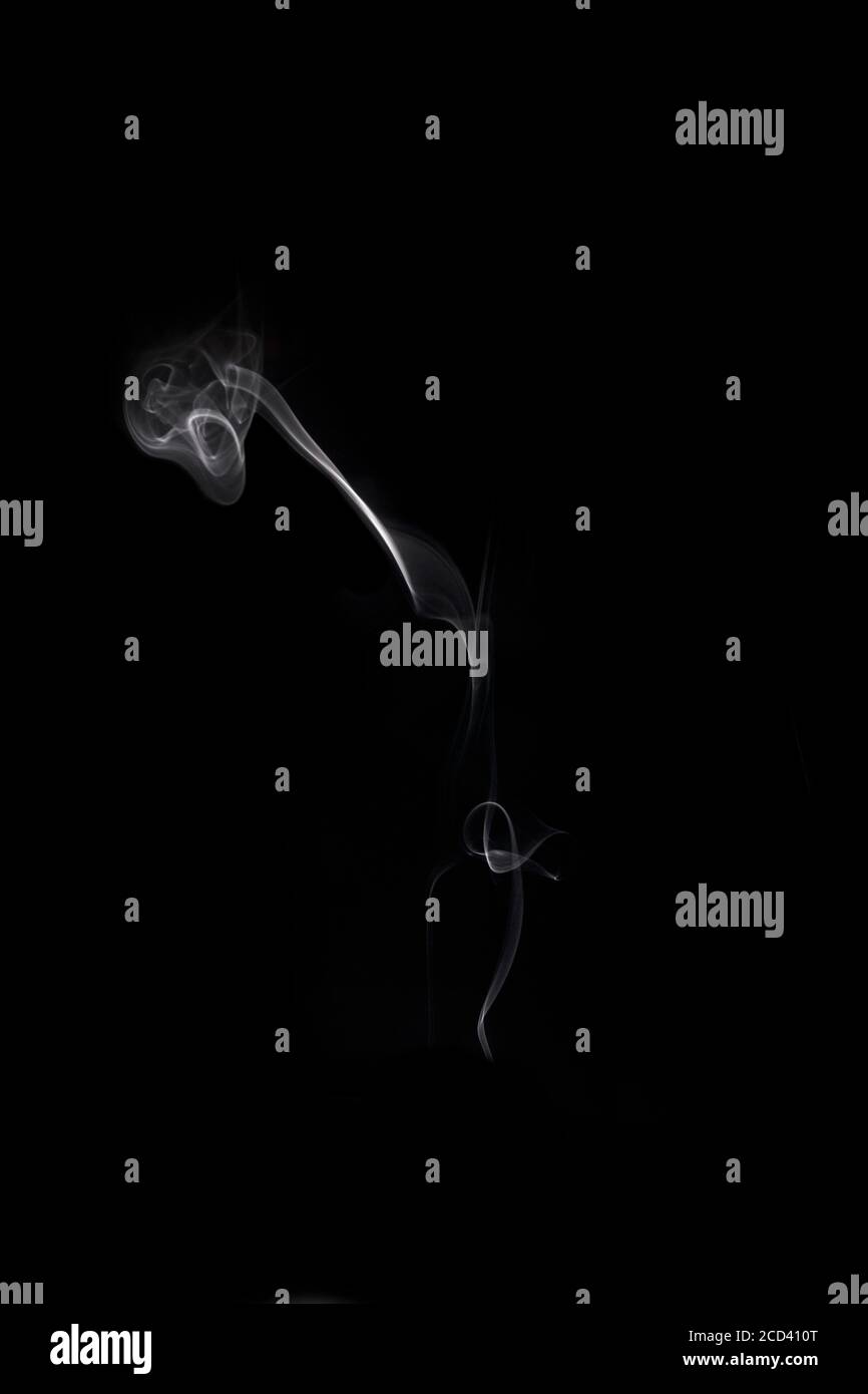 Abstract white smoke or steam swirls on black background Stock Photo ...