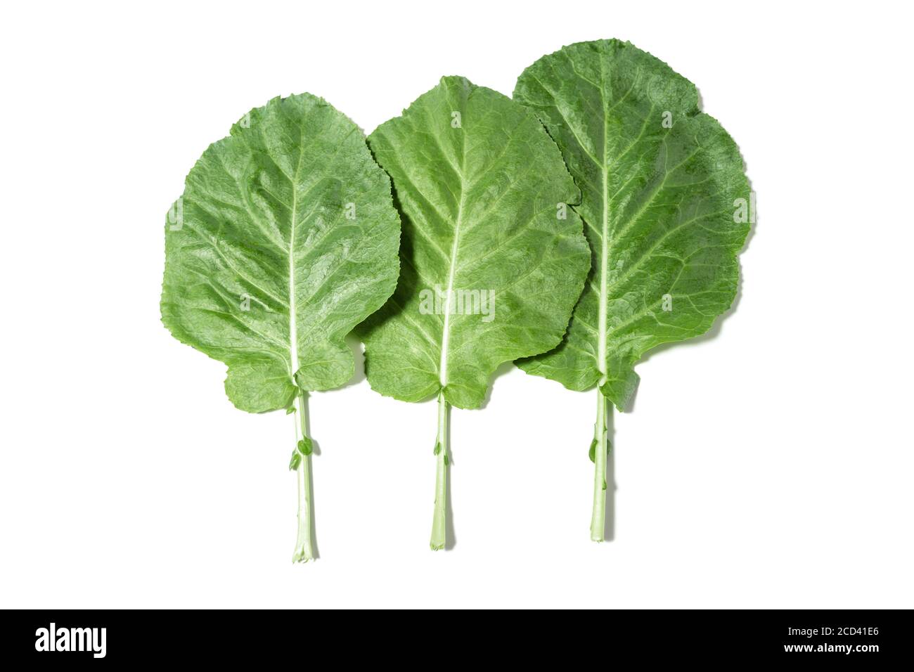 It is a kind of leaf vegetable for ssam. Ssam, one of the Korean dishes ...