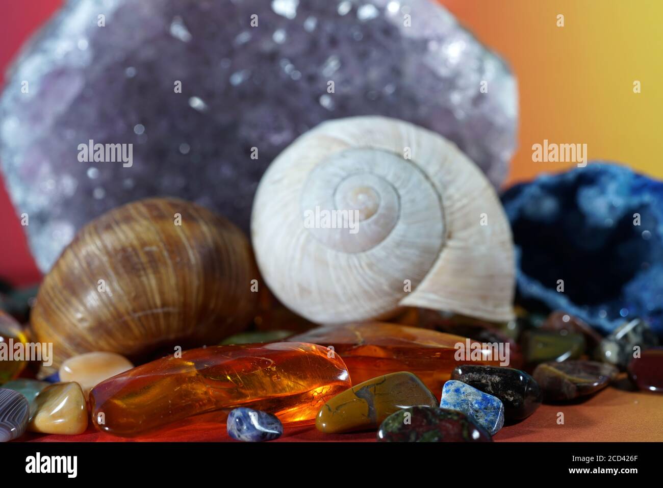 Closeup shot of two shells of snails on colorful rocks Stock Photo - Alamy