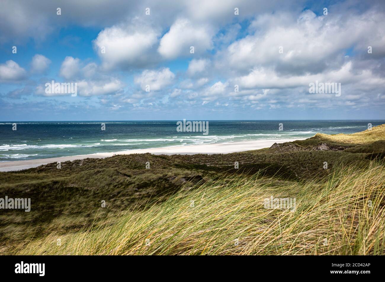 sylt german island north sea Stock Photo - Alamy