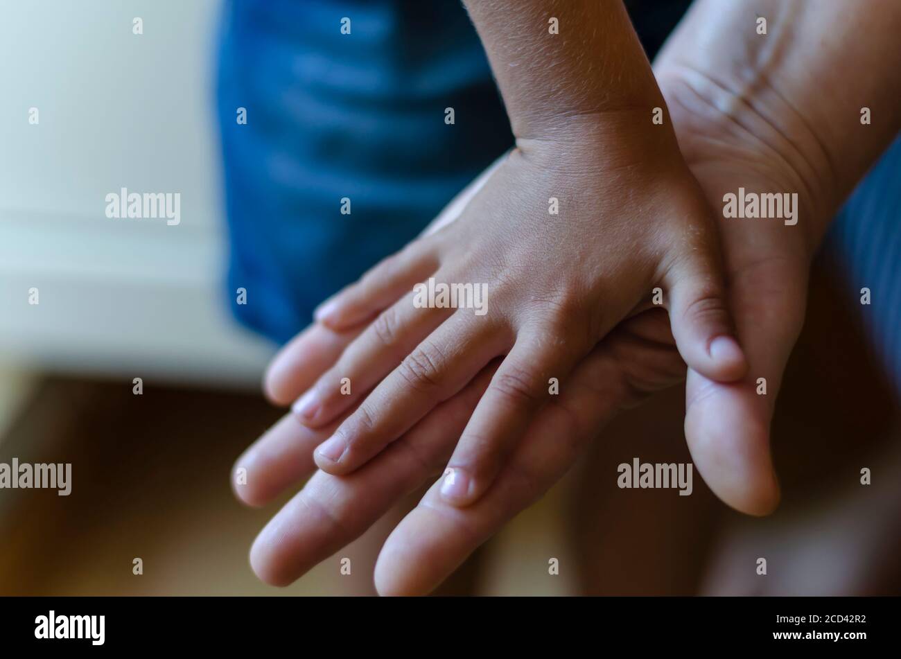 A child's hand rests on top of an adult palm. The palm of a small child ...