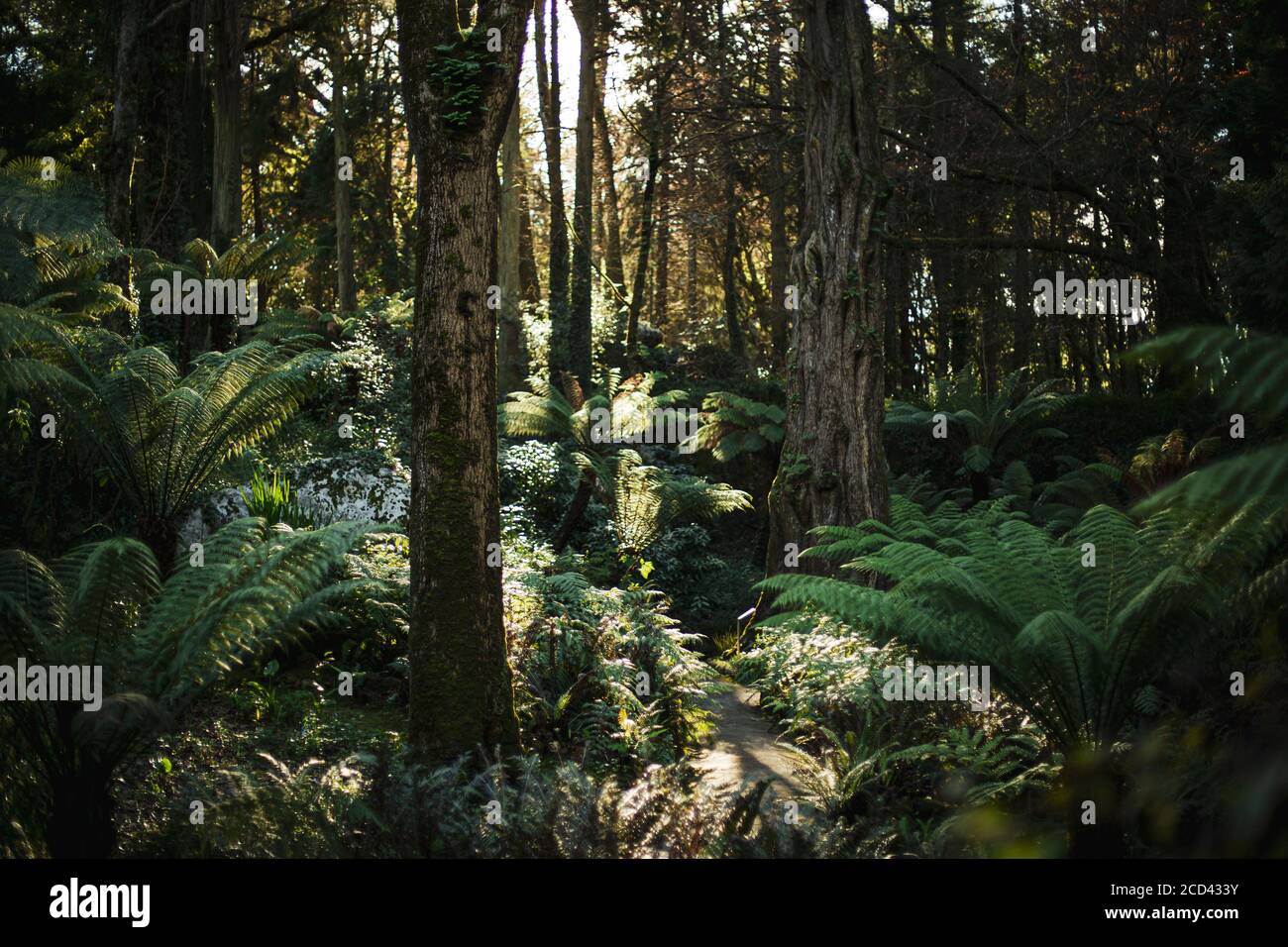 Portugal eco hi-res stock photography and images - Alamy