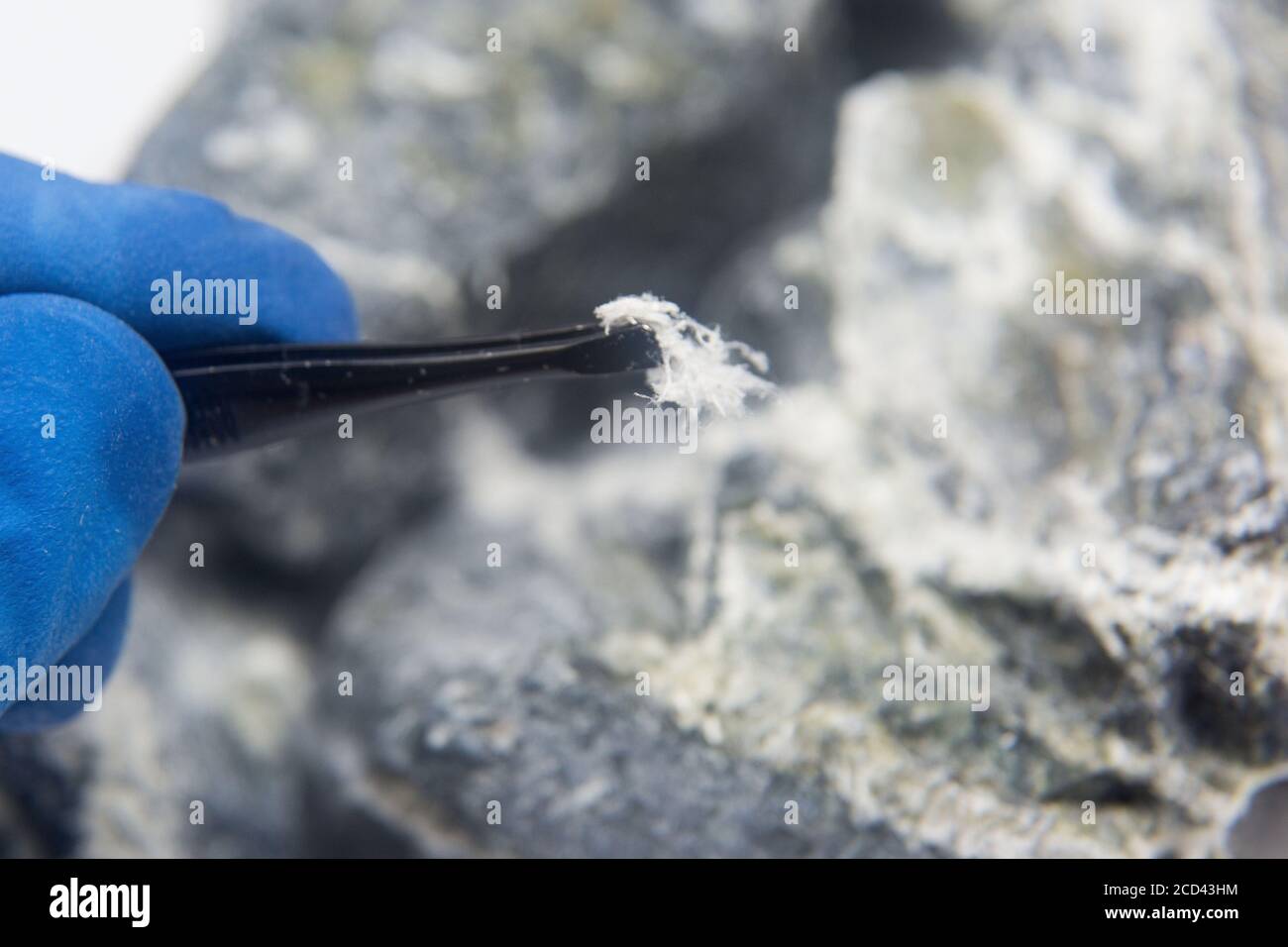 A macro photograph of fibers of mineral chrysotile asbestos taken from ...