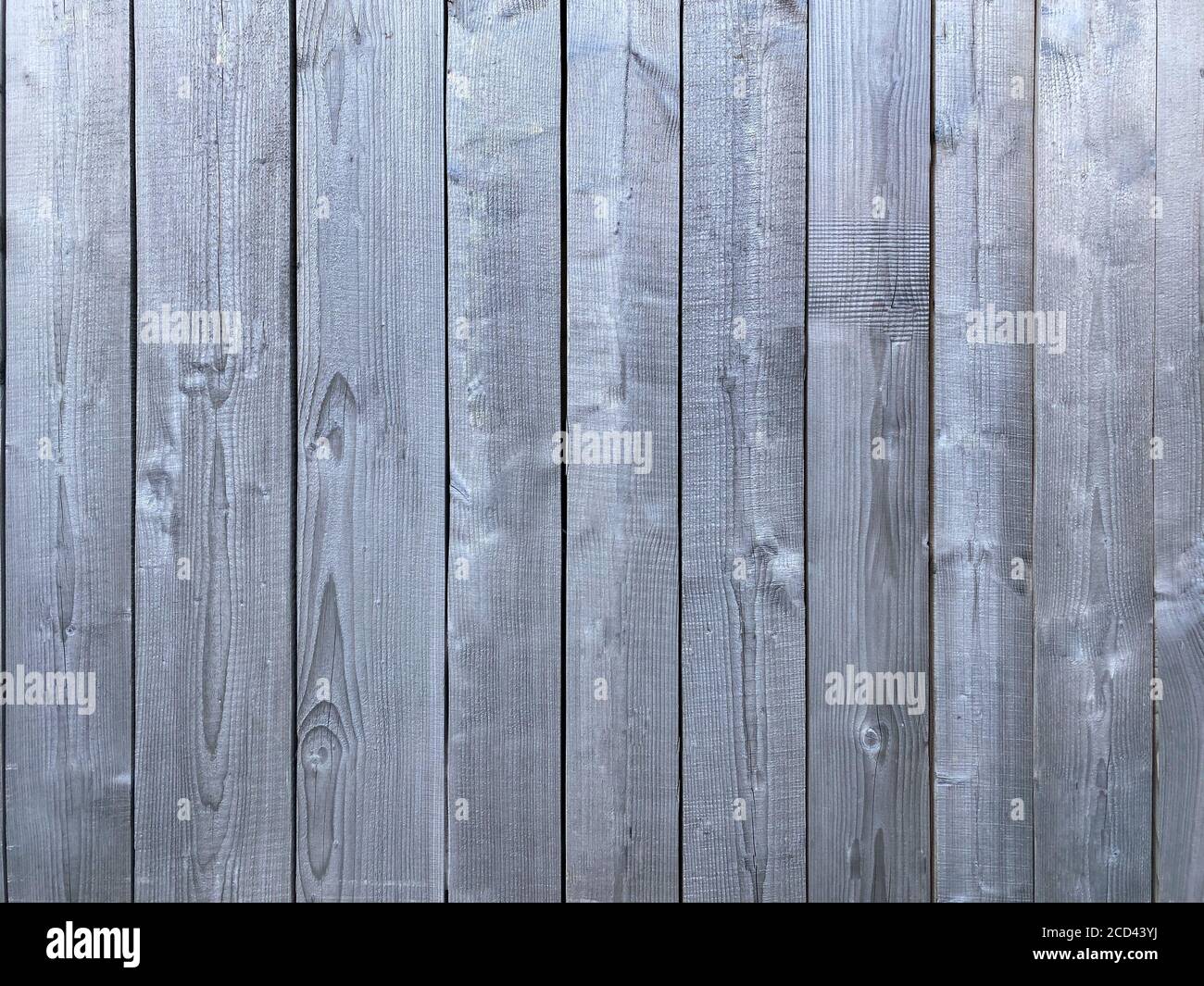 Gray grunge texture of old pine tree Stock Photo - Alamy