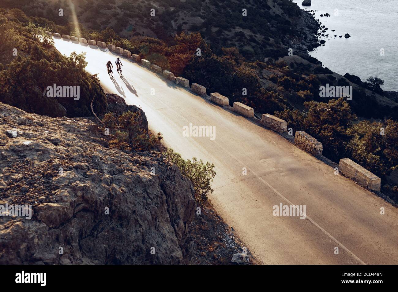 Two professional male cyclists riding their racing bicycles in the ...