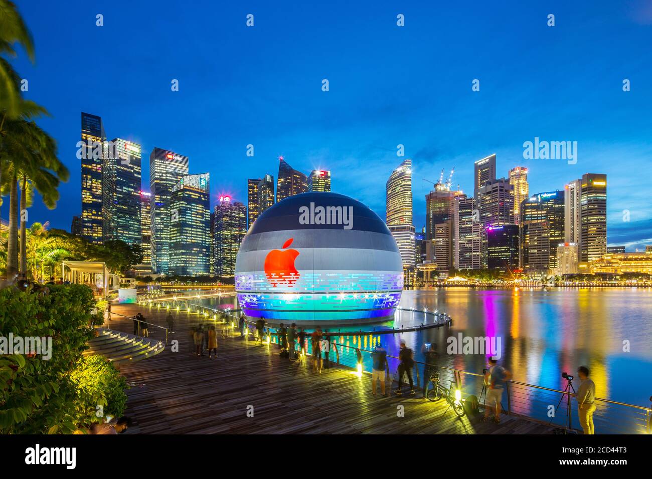 Evening view of Apple first floating store in Singapore Stock Photo - Alamy