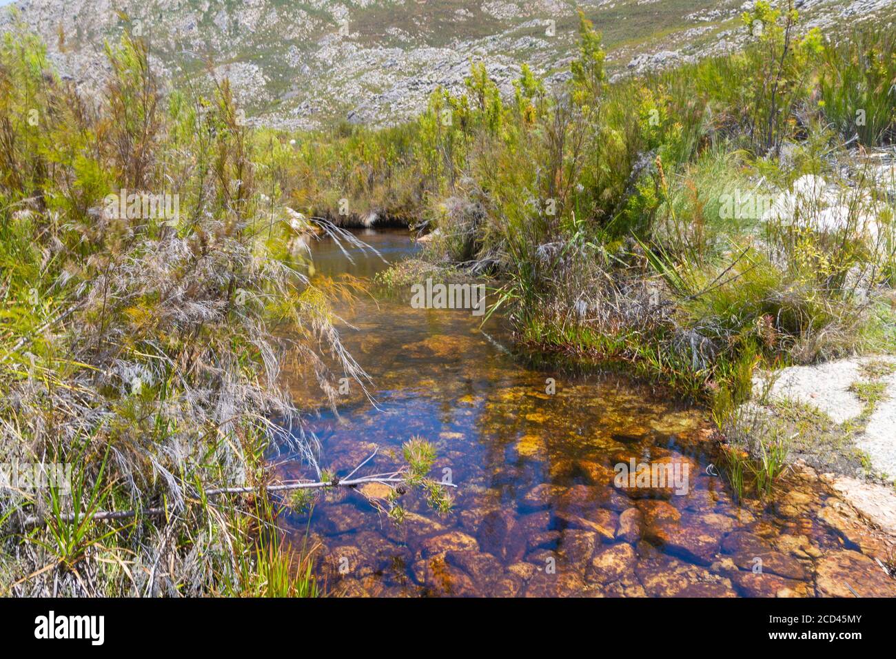 Beautiful landscape along a small river in the Mountains of Ceres ...