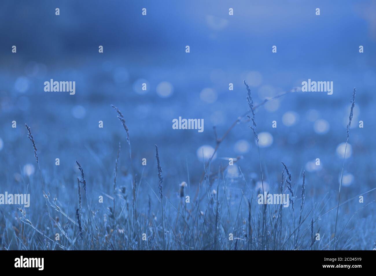 Fantasy image of blue field. Misterious field Stock Photo - Alamy