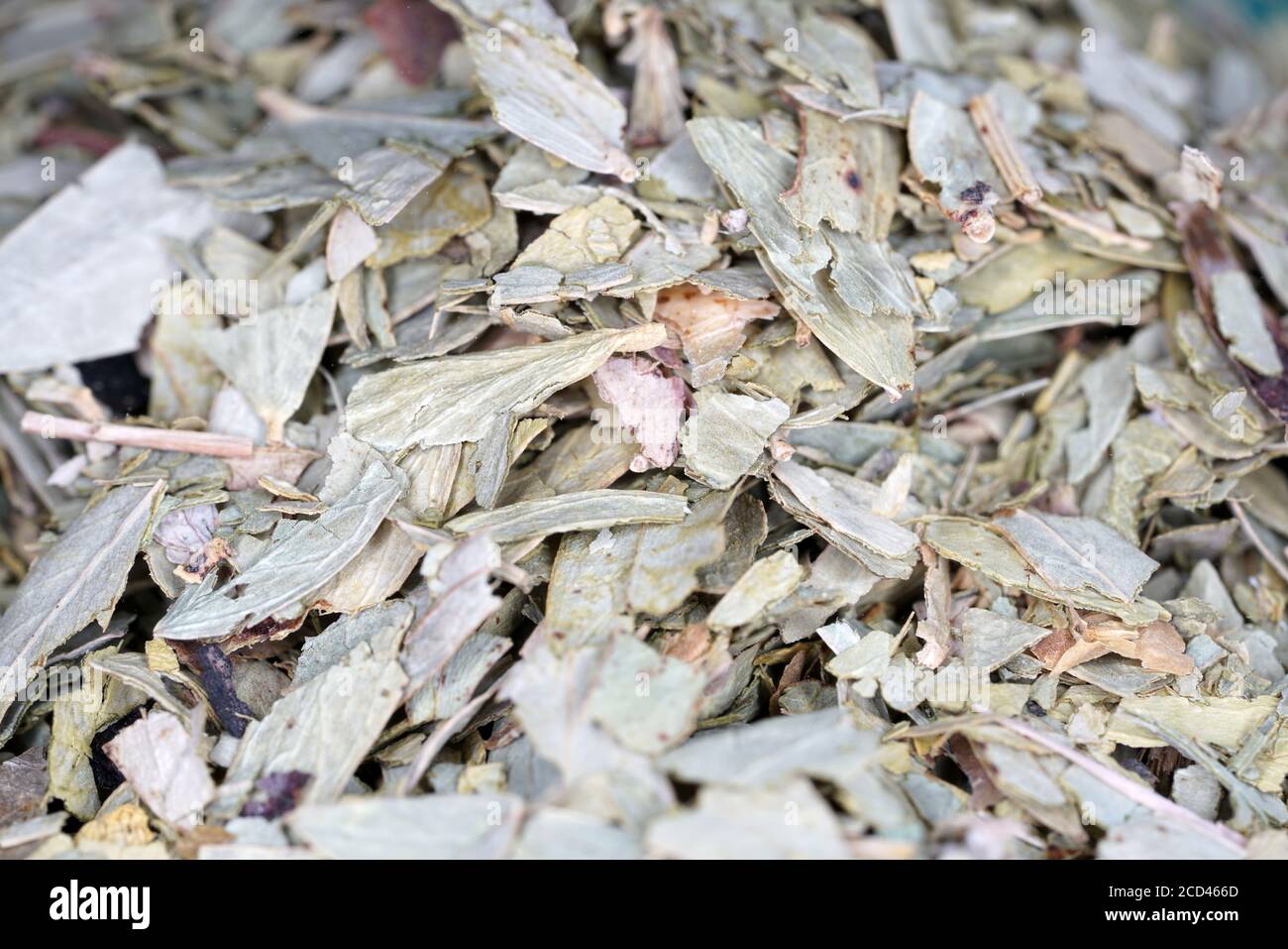 Senna leaves tea hi-res stock photography and images - Alamy