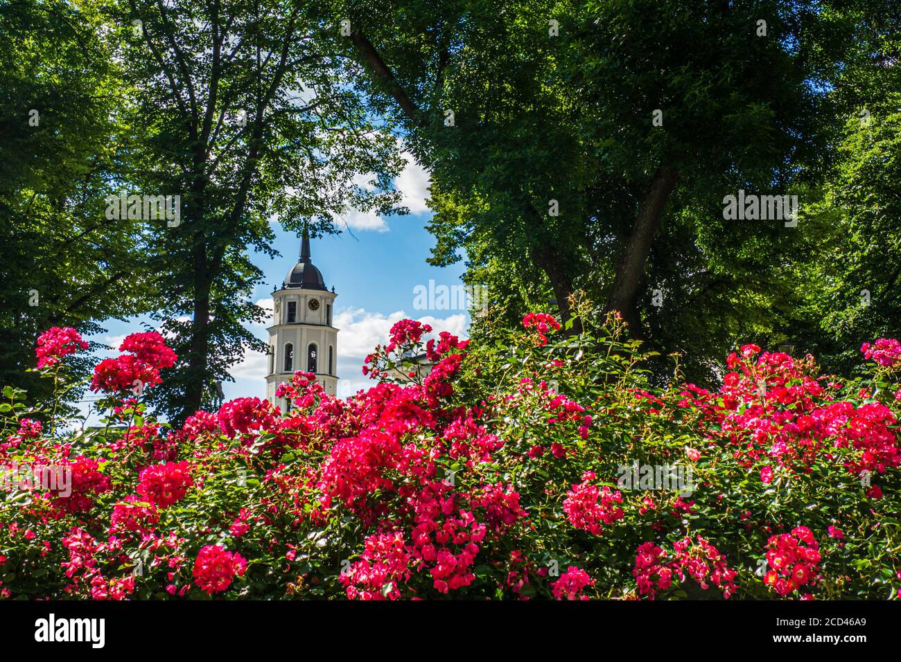 Duke Chapel High Resolution Stock Photography and Images - Alamy