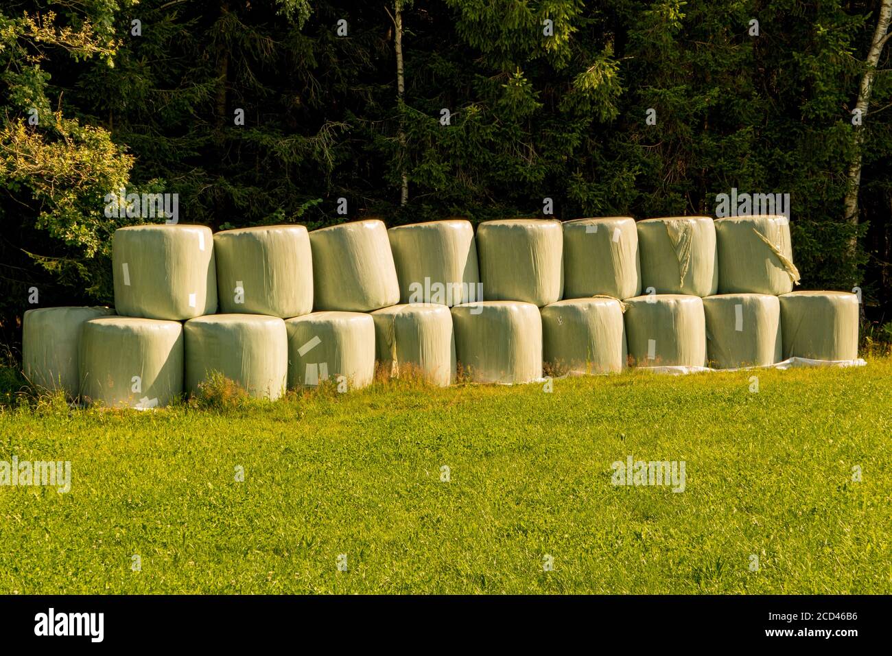 Hay as winter fodder for doors packed in plastic on the field Stock ...