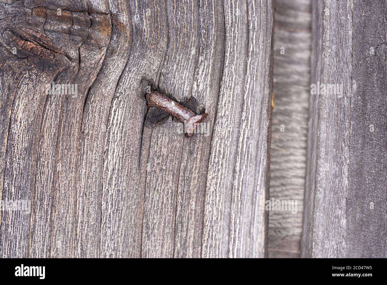 Closeup shot of an old rusty nail in a wooden board Stock Photo - Alamy