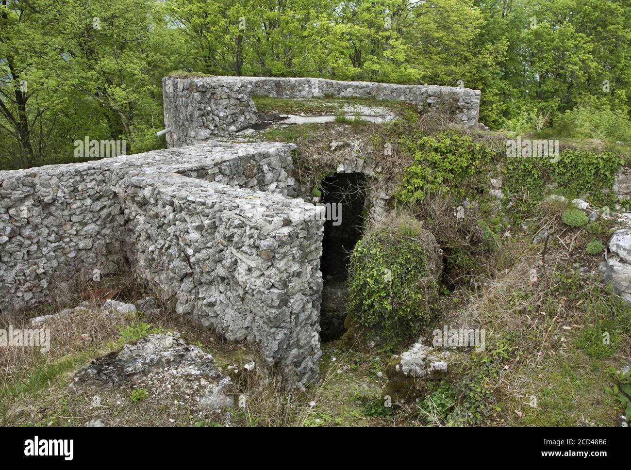 Ruins of castle on Kozlov Rob above Tolmin. Slovenia Stock Photo - Alamy