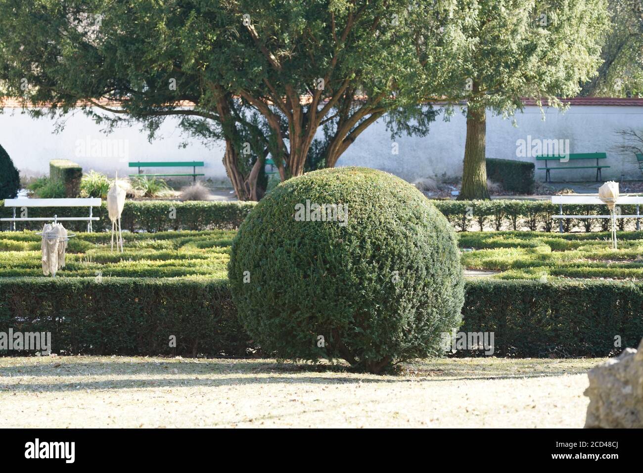 Beautiful round bush in the park Stock Photo - Alamy
