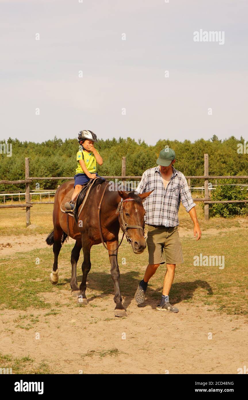 TLEN, POLAND - Aug 19, 2020: Man pulling a horse with sitting child ...