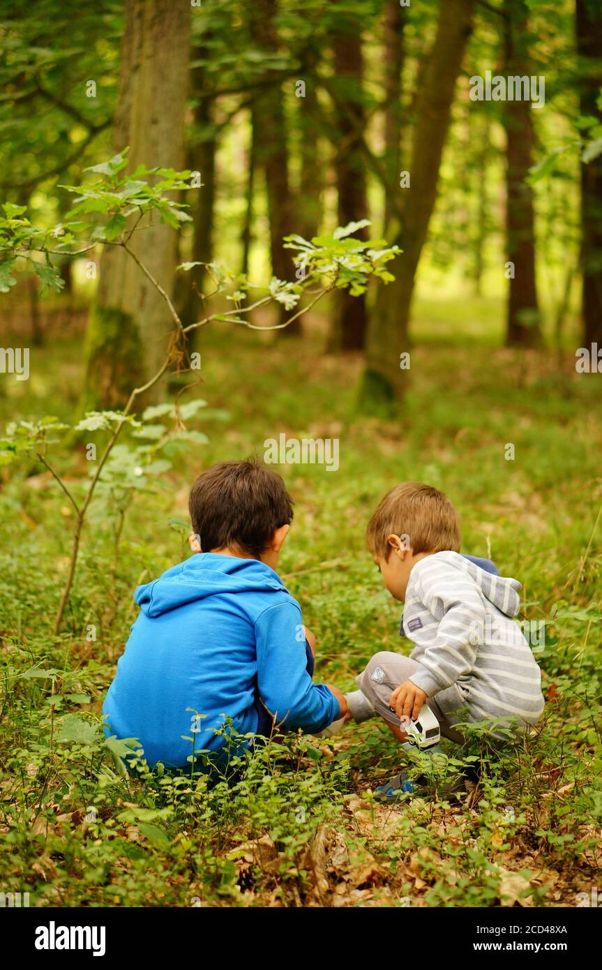 TLEN, POLAND - Aug 19, 2020: Two young boys looking for berries on the ...