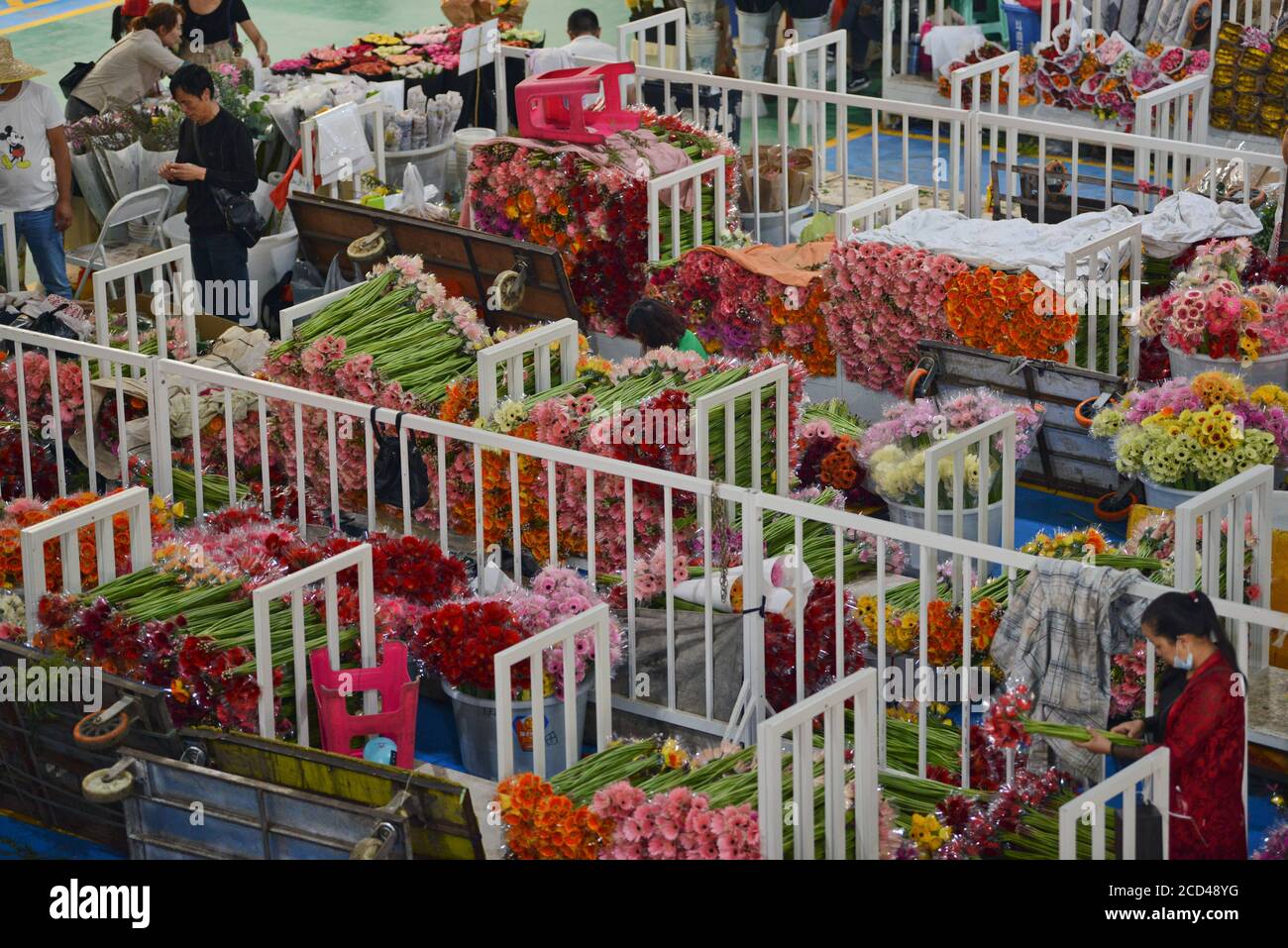 Vendors sell flowers at the Kunming Dounan Flower market, home to over ...