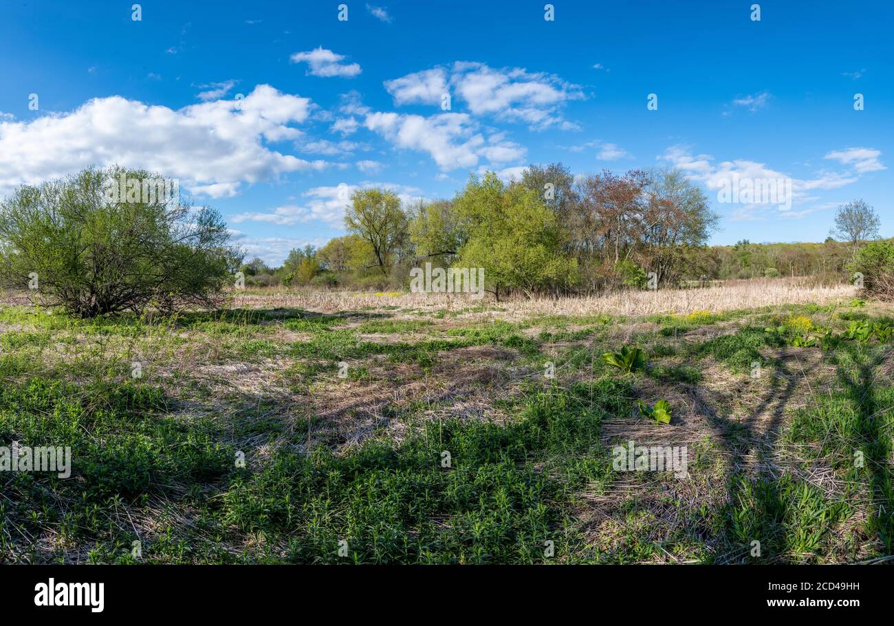 Dunback hi-res stock photography and images - Alamy