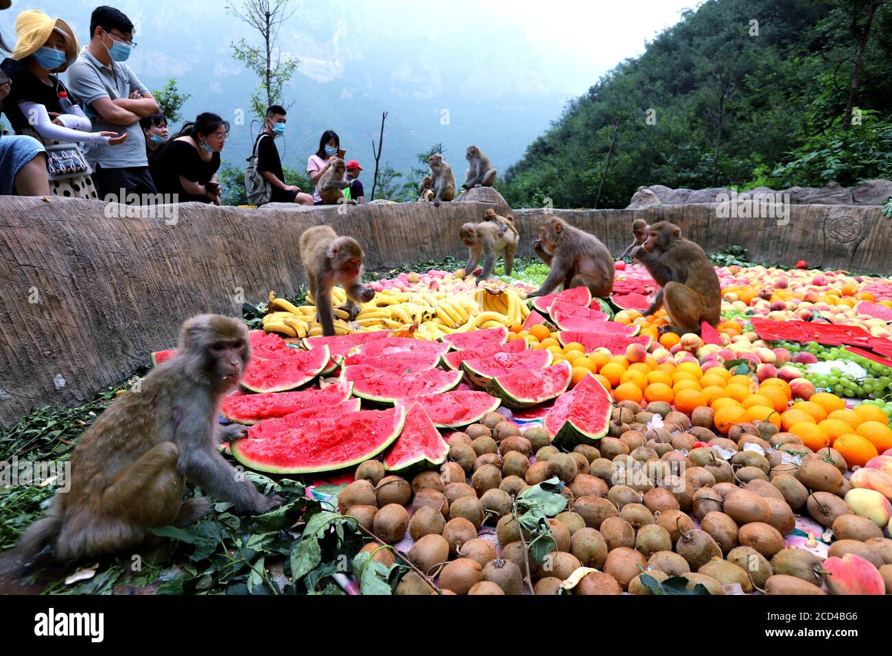 A staff dressed as the Monkey King arranges a feast of various iced ...