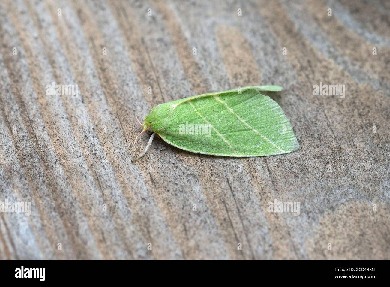 Silver lines hi-res stock photography and images - Alamy