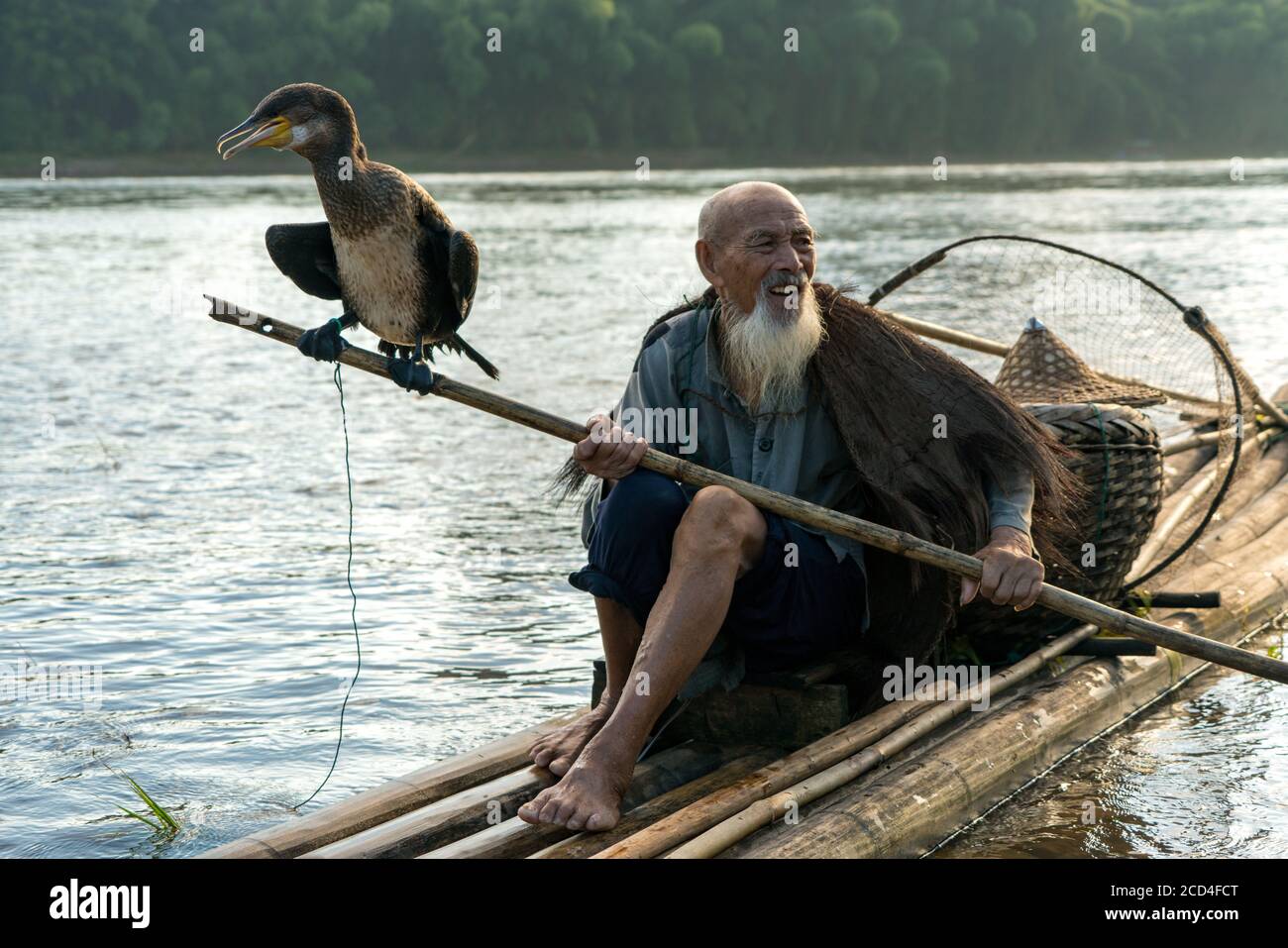 In this undated photo, an old fisherman and his cormorant fish on a ...