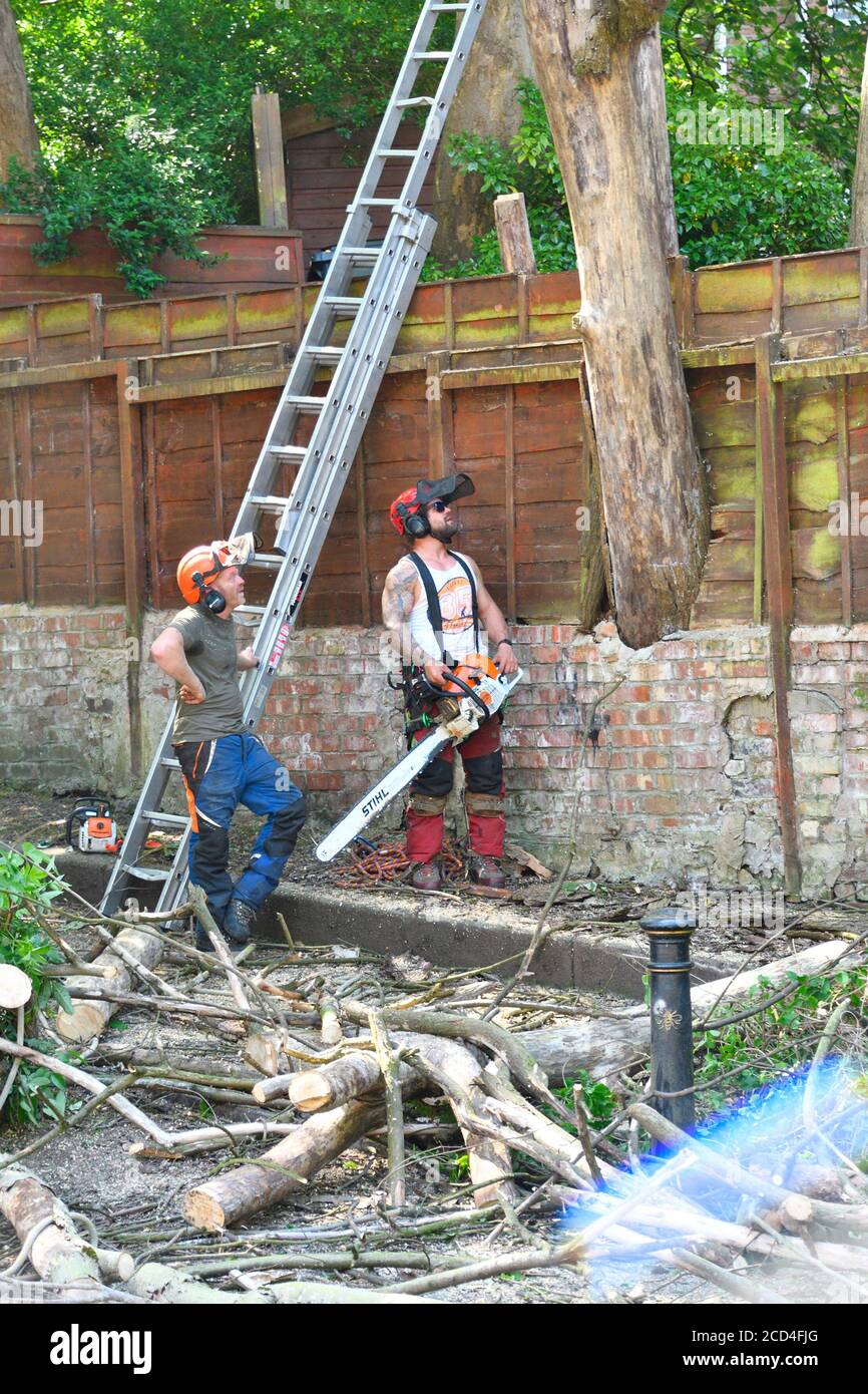 Lopping trees hi-res stock photography and images - Alamy