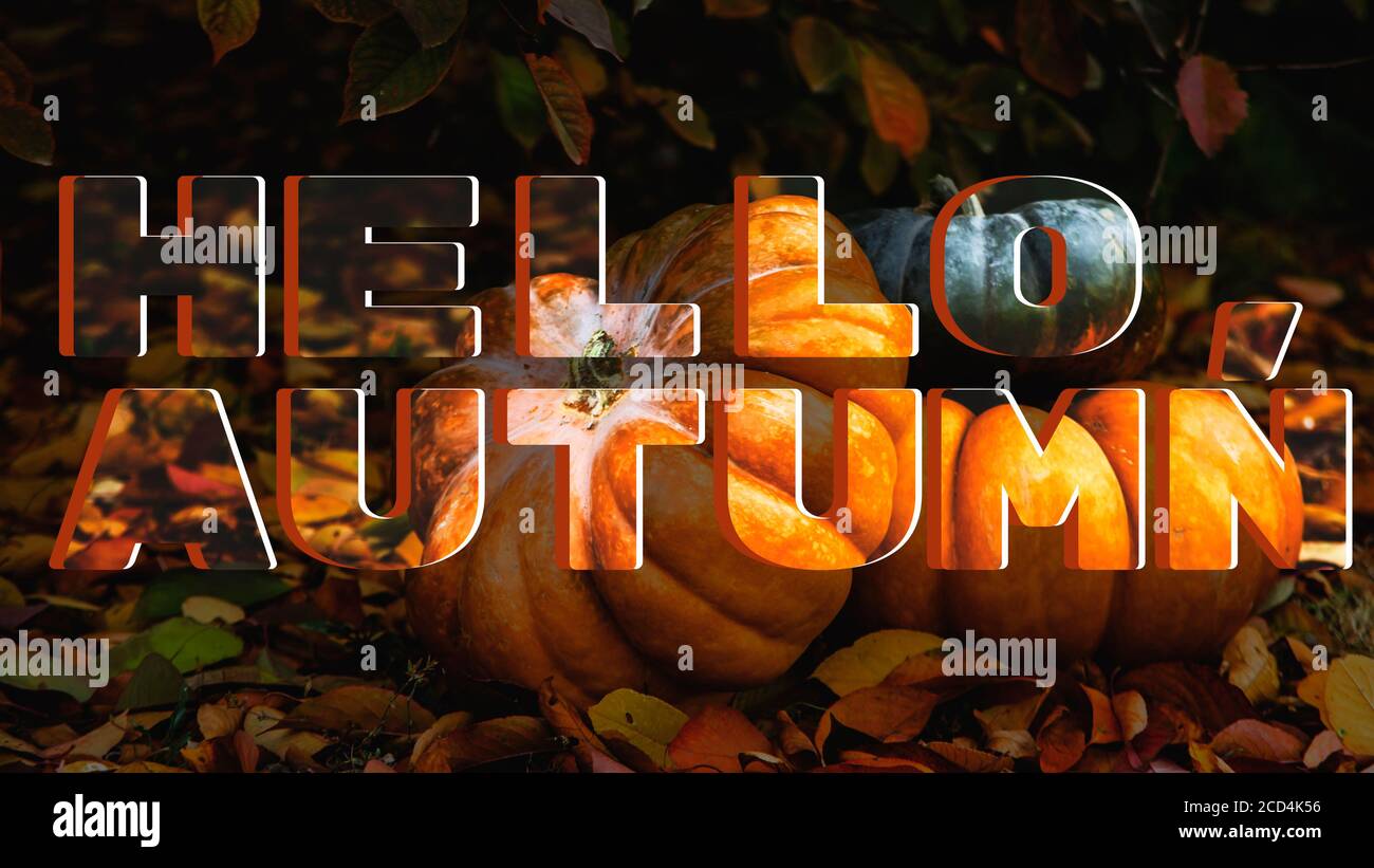 Hello pumpkins hi-res stock photography and images - Alamy