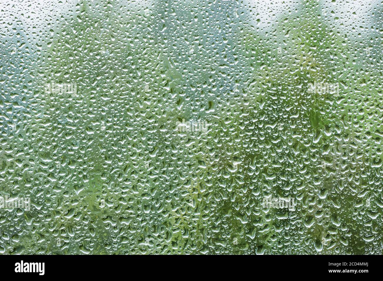 Water drops on the window glass after rain Stock Photo - Alamy