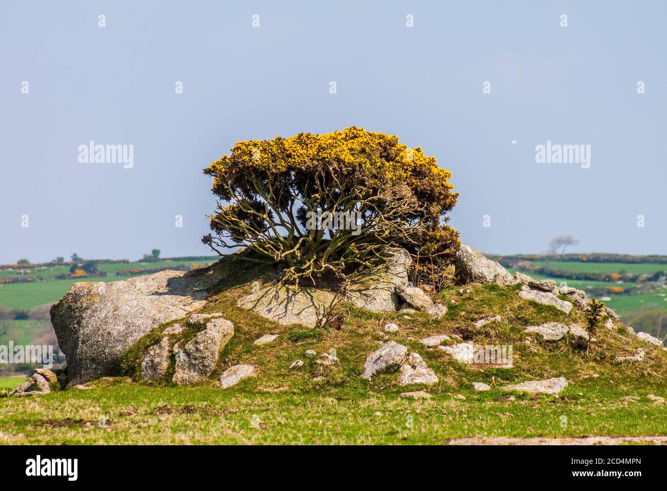 Moorland rock grass hi-res stock photography and images - Alamy