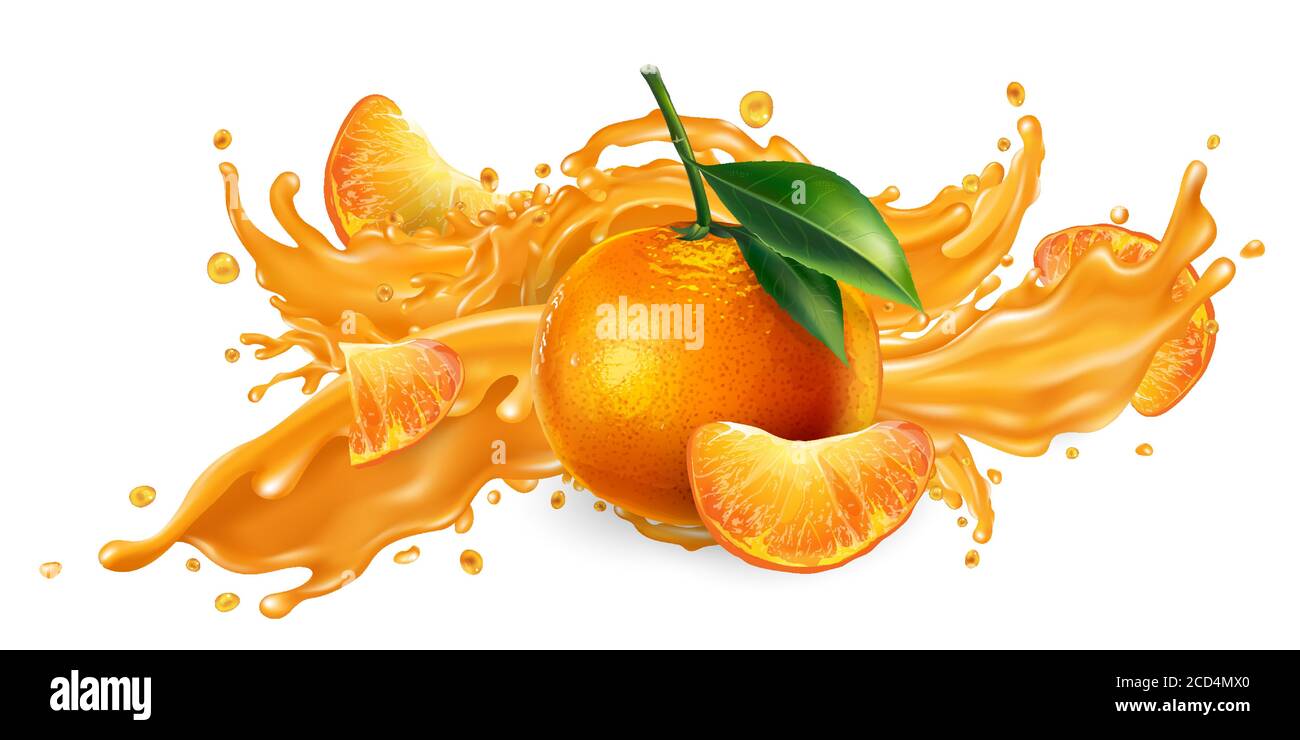 Mandarin mandarins Stock Vector Images - Alamy