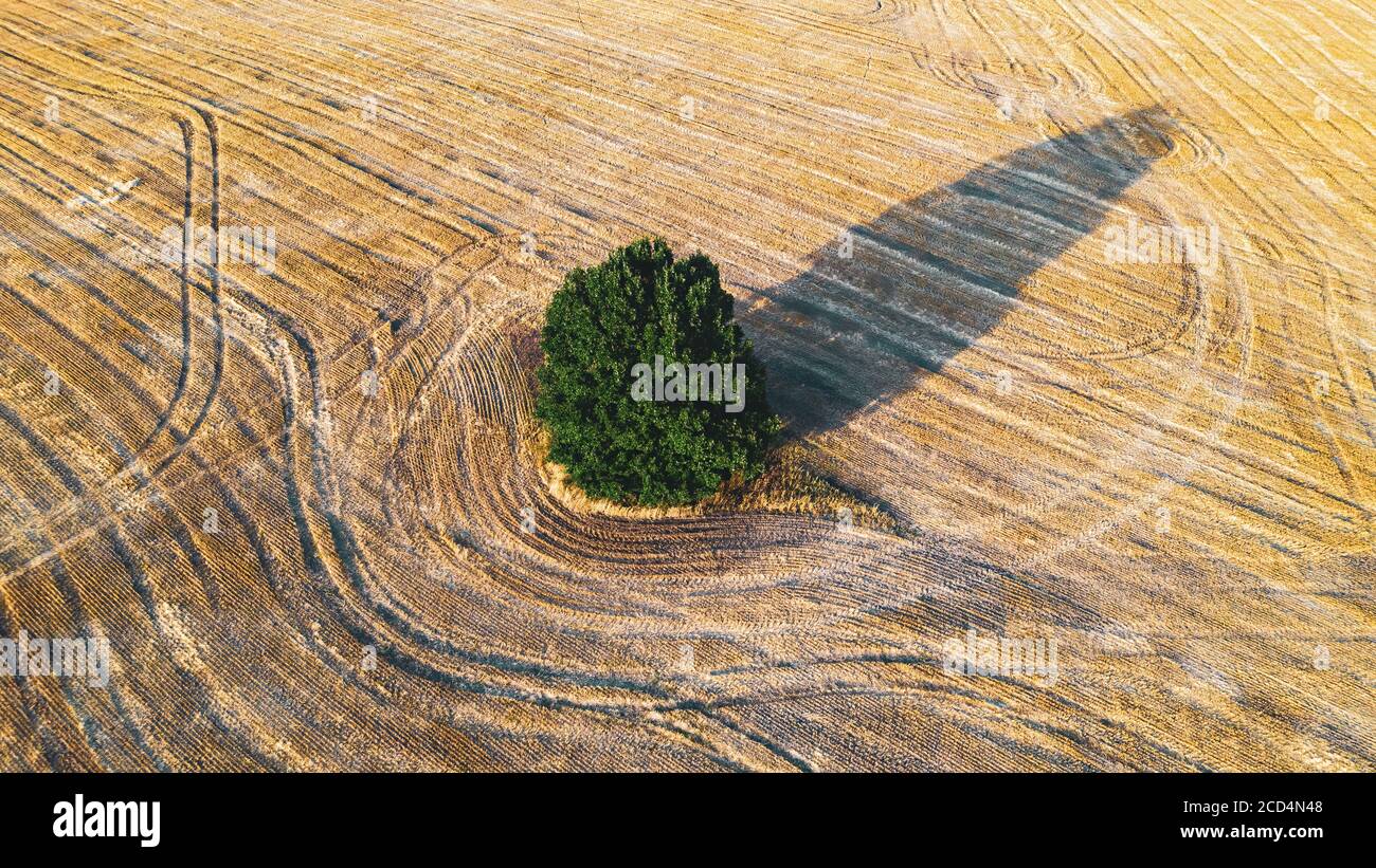 Aerial large wheat field agriculture hi-res stock photography and ...