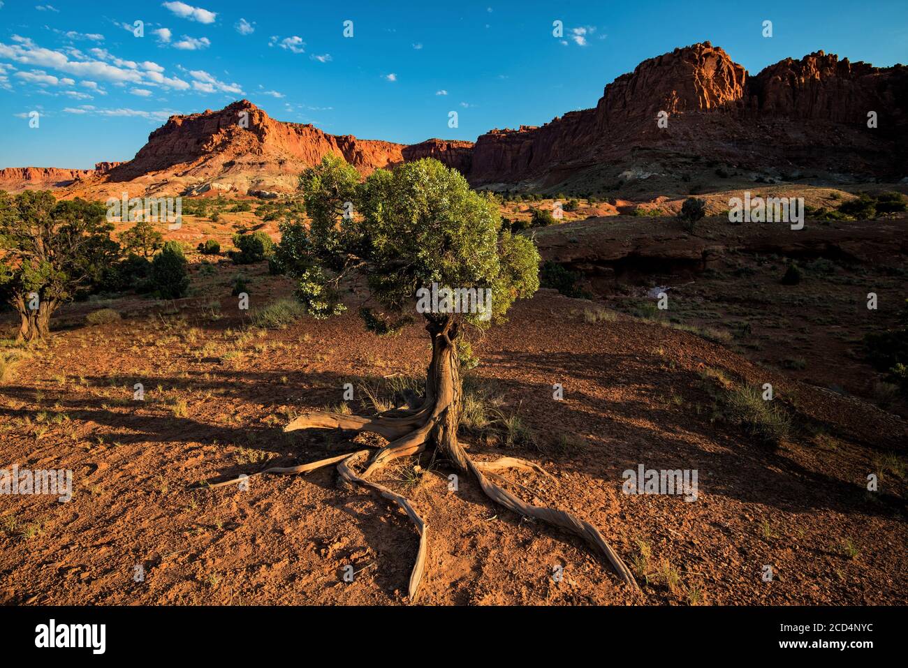 Desert scenic vistas in Capitol Reef National Park. The warm morning ...