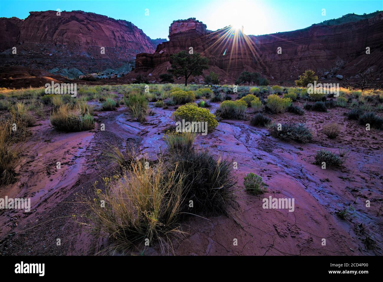 Desert scenic vistas in Capitol Reef National Park. The warm morning ...