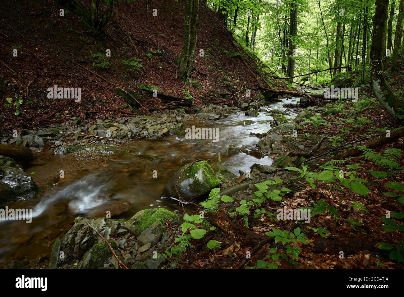 Mountain flow. Serene mountain stream flow in a hidden ravine strewn ...