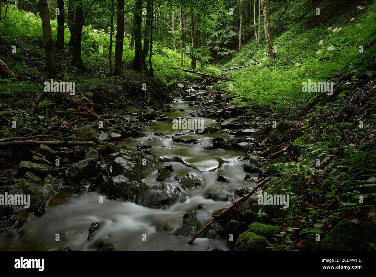 Water flowing quietly hi-res stock photography and images - Alamy