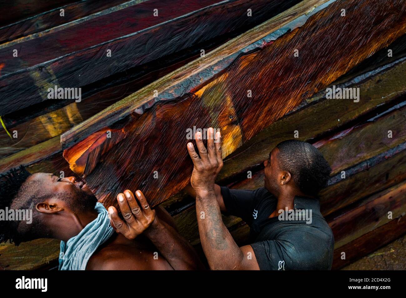 Afro-Colombian carriers lift a rough sawn timber, extracted from the ...