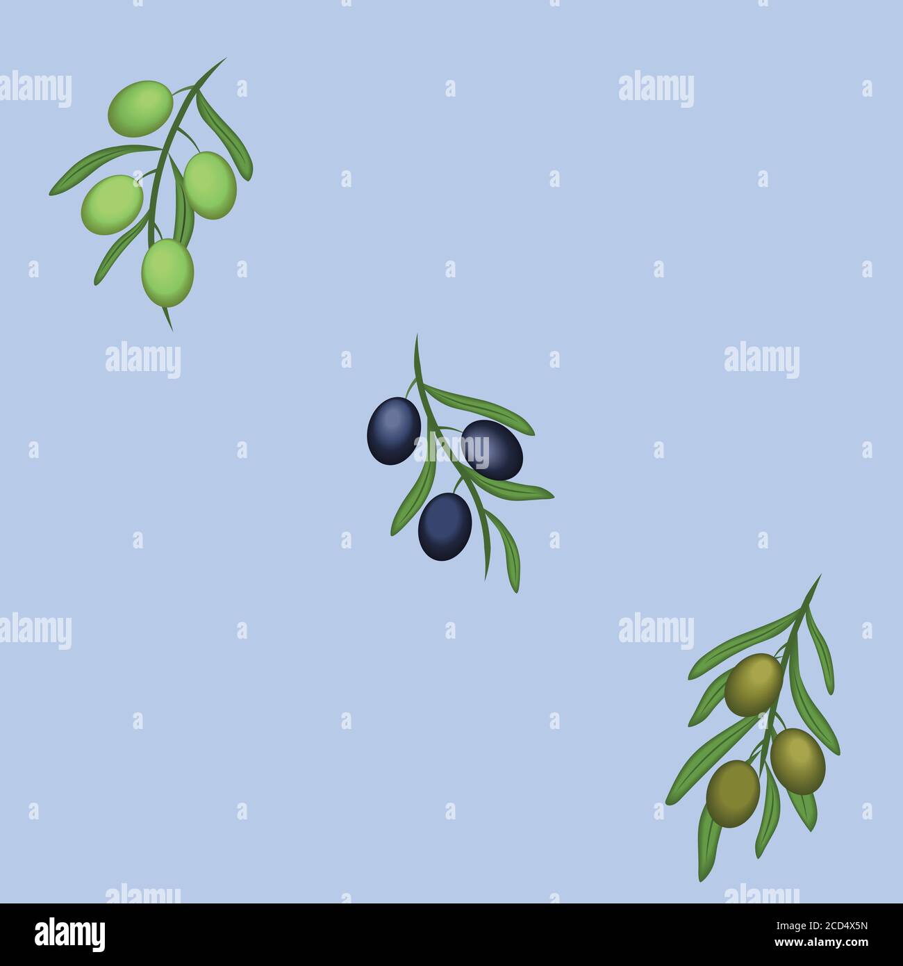 Mediterranean olive tree branches Stock Vector Images - Alamy