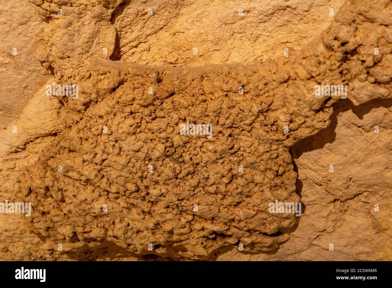 Turold hi-res stock photography and images - Alamy