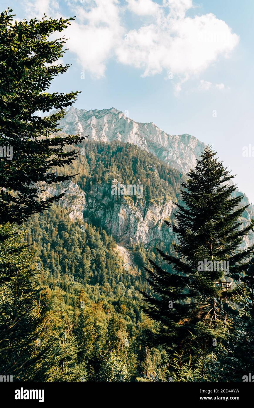 Austrian Alps mountain summer landscape with tree and sky Stock Photo ...