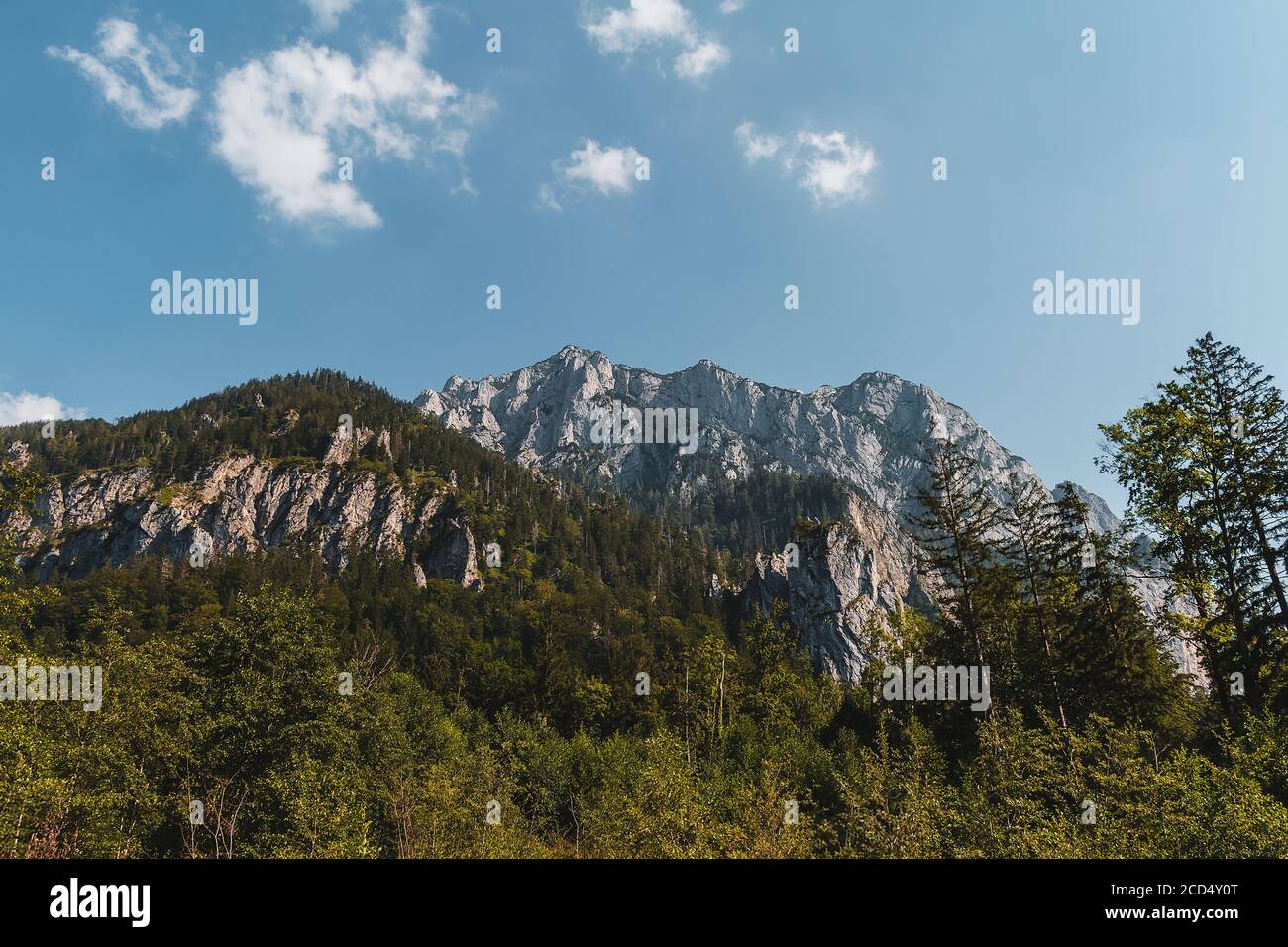 Austrian Alps mountain summer landscape with tree Stock Photo - Alamy