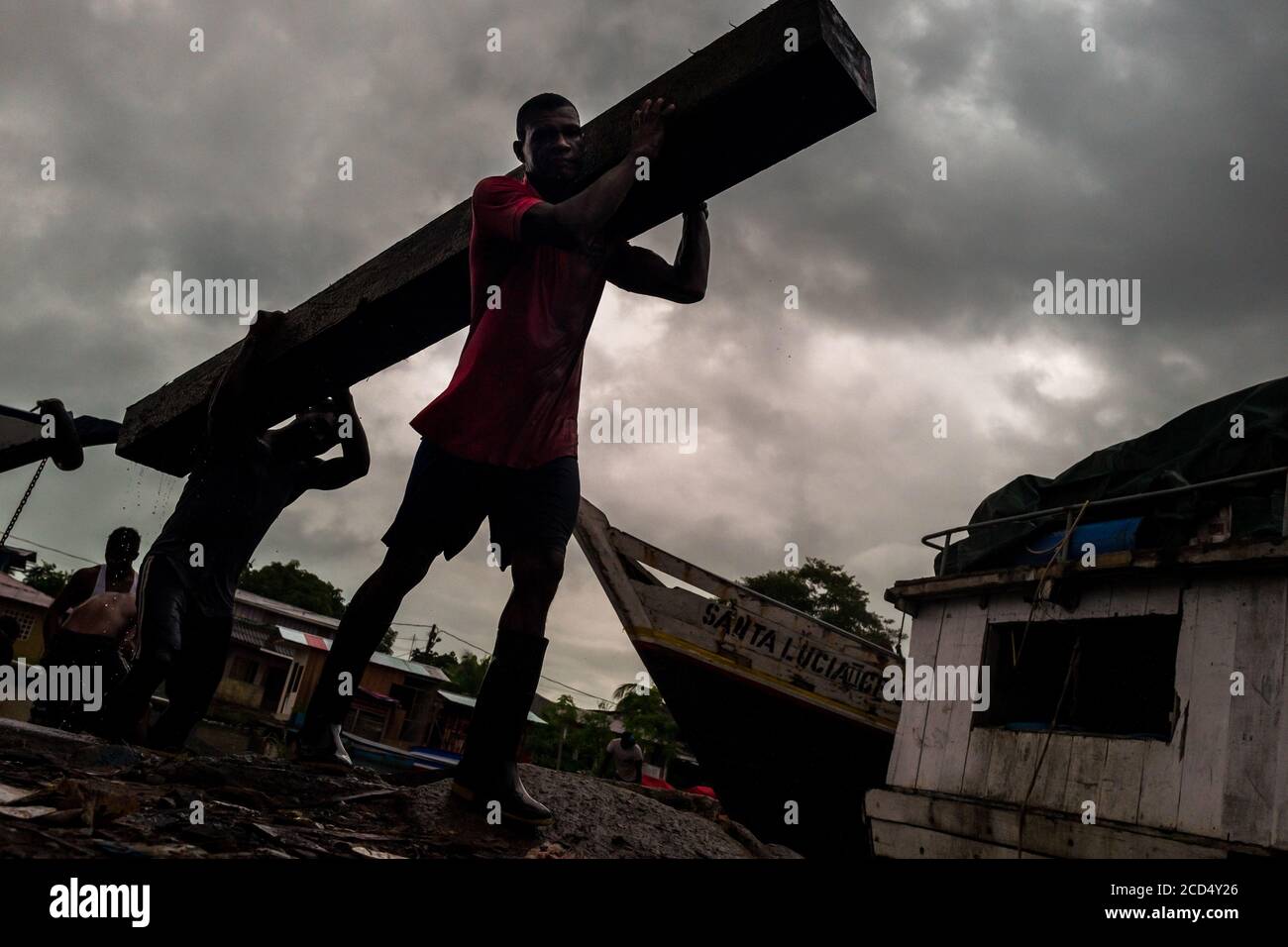 Afro-Colombian workers carry a rough sawn timber, extracted from the ...