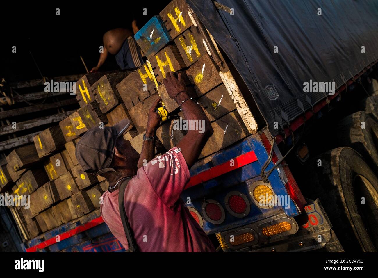 A Colombian worker controls dimensions of rough sawn timbers, extracted ...