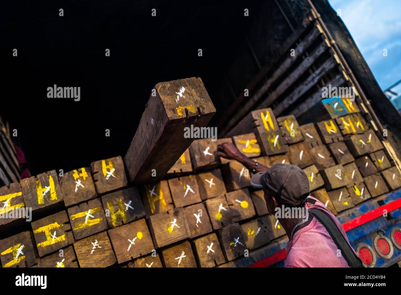 A Colombian worker checks the amount of rough sawn timbers, extracted ...