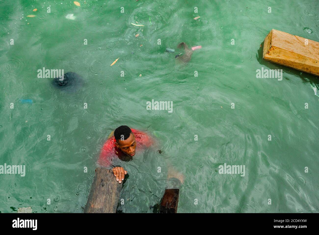 A Colombian carrier pushes a rough sawn timber while swimming in the ...