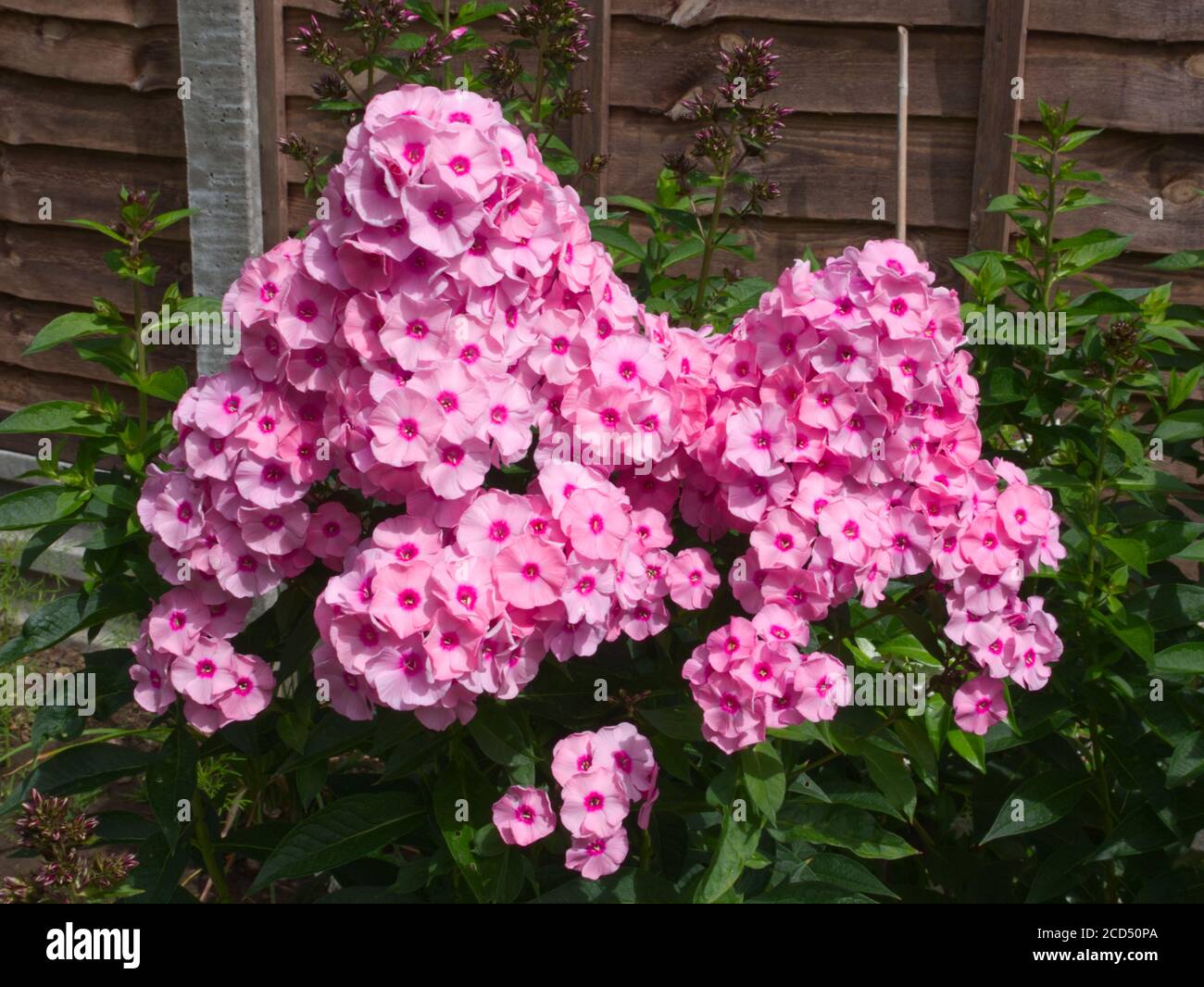 Hoop Lane Crematorium & Remembrance Gardens of Tranquility and Respite ...
