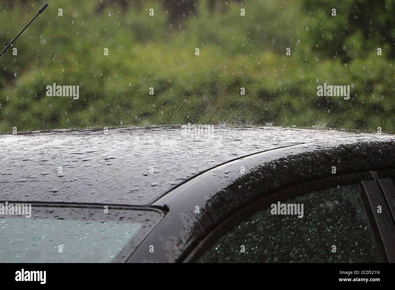 Heavy rain falling on black hi-res stock photography and images - Alamy