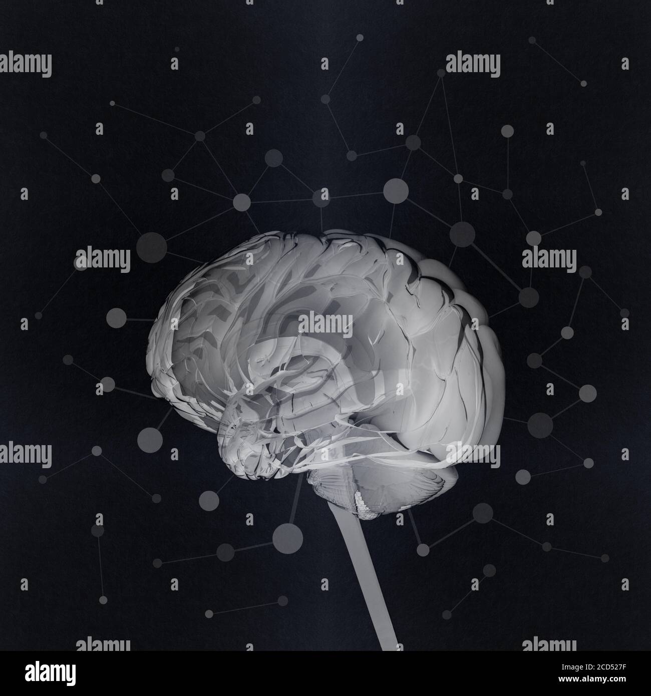 Anatomy illustration of human brain concept art 3D illustration Stock ...