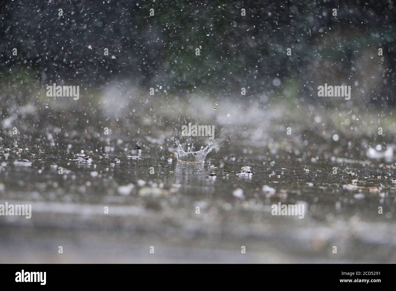 Closeup shot of raindrops falling on the ground and splashing Stock ...