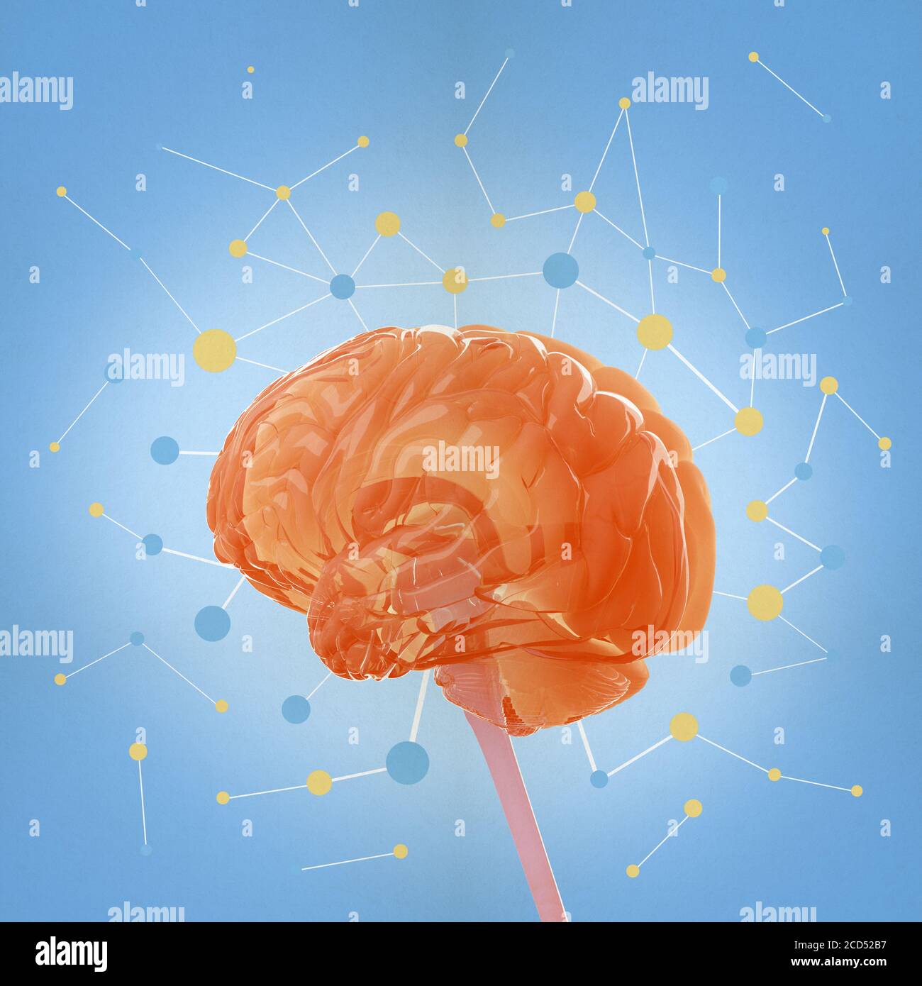 Anatomy illustration of human brain concept art 3D illustration Stock ...